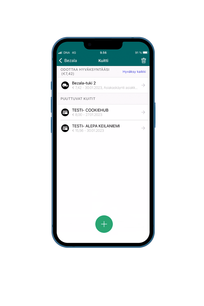 Bezala-matkalaskuohjelma käyttöön avullamme | EMU Growth Partners